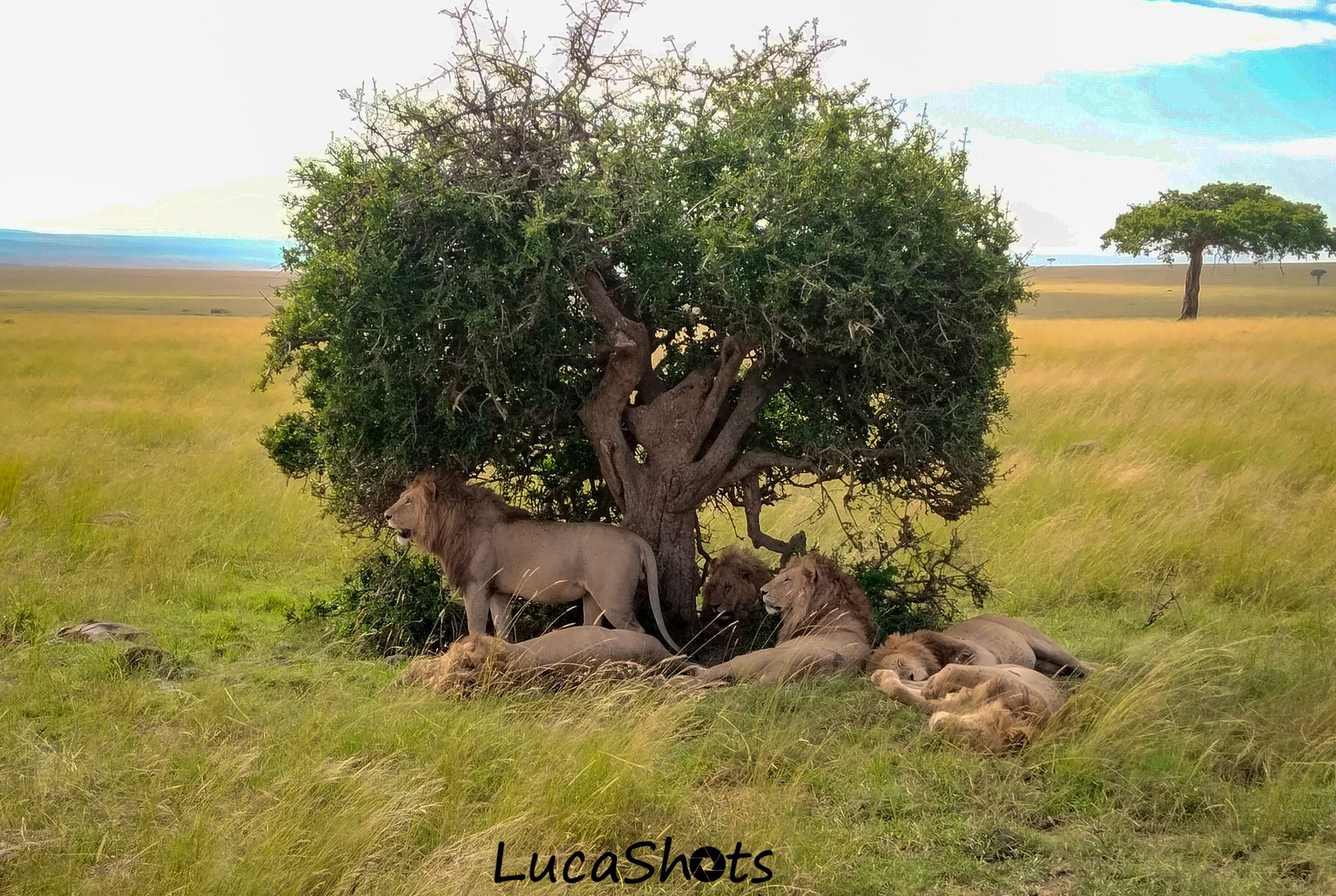 From Who's Who to Who's He - Lucas Marang'a